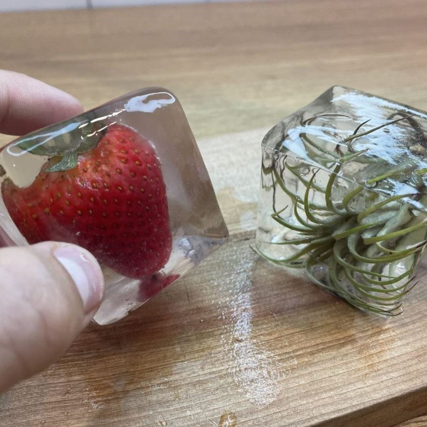 Freezing Objects into Ice Part #3 – craftklaris